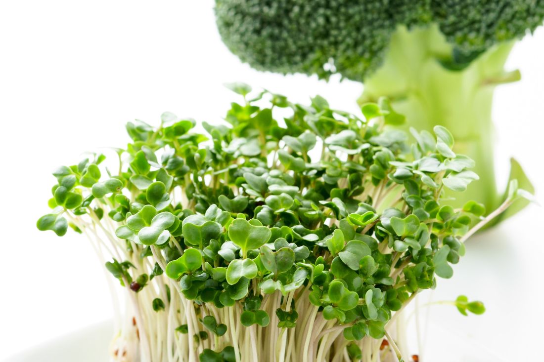 The Benefits of Sulforaphane – FourHealth NZ